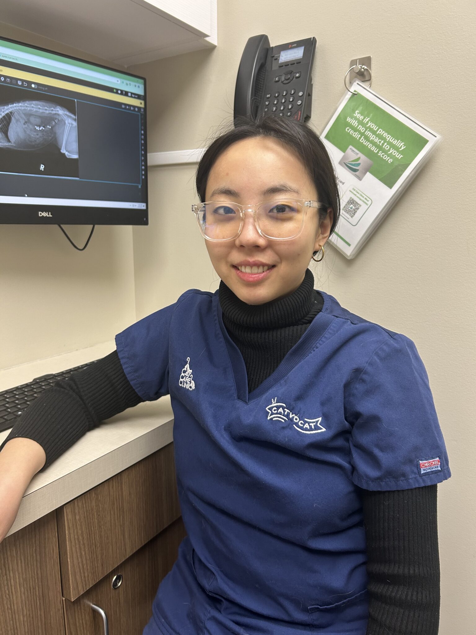 Ellie - Cat Care Clinic